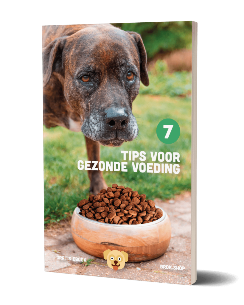 De beste graanvrije hondenbrokken? ️ Alles over hondenvoer